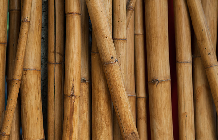 Dosel Bambú | Venta de varas de bambú nacional e importados