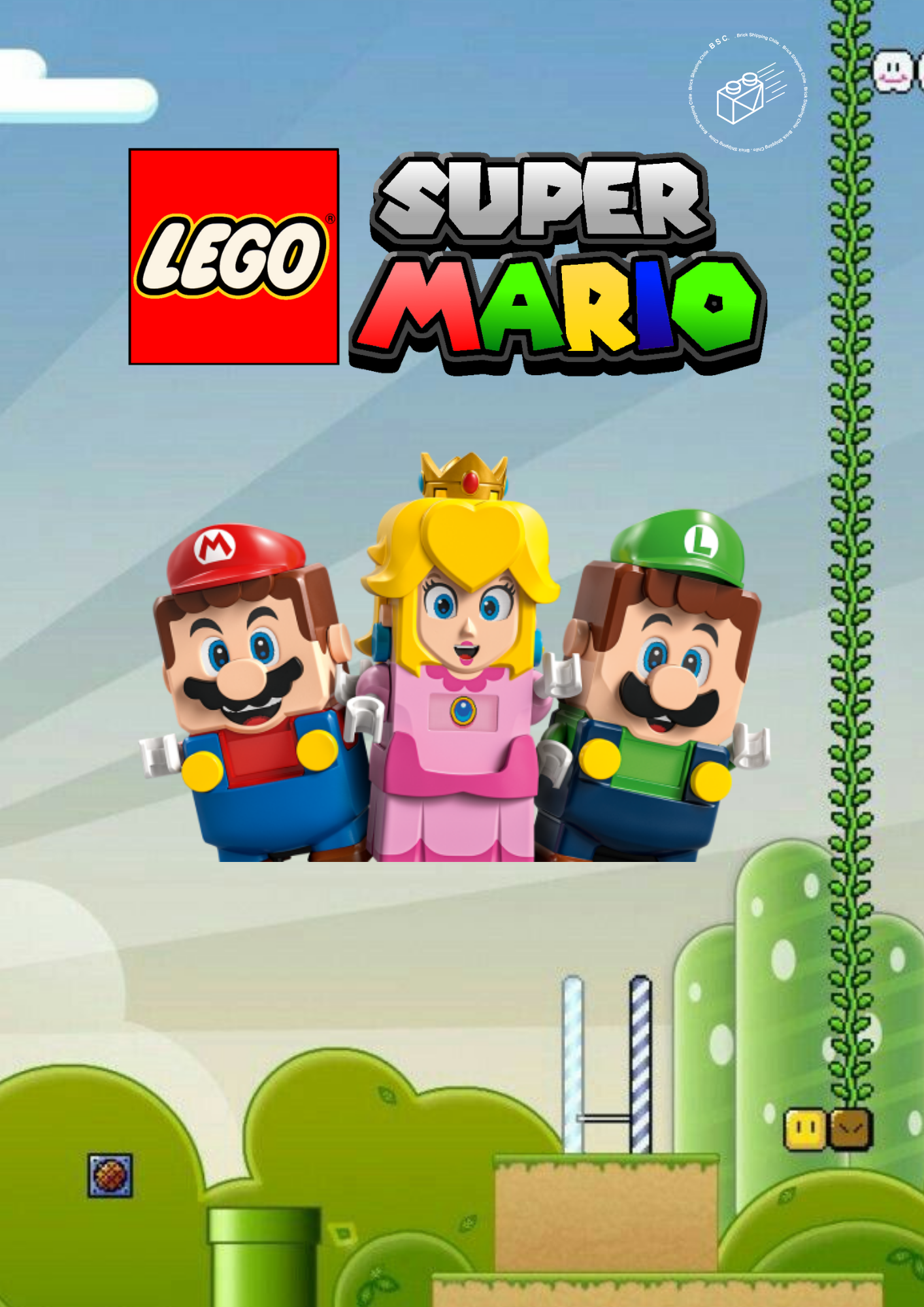 Brick Shipping Chile®