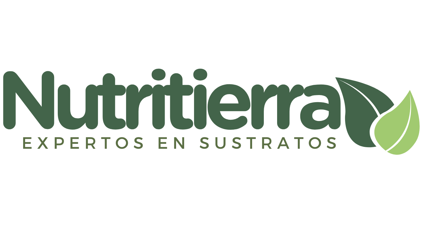 plantas y suculentas