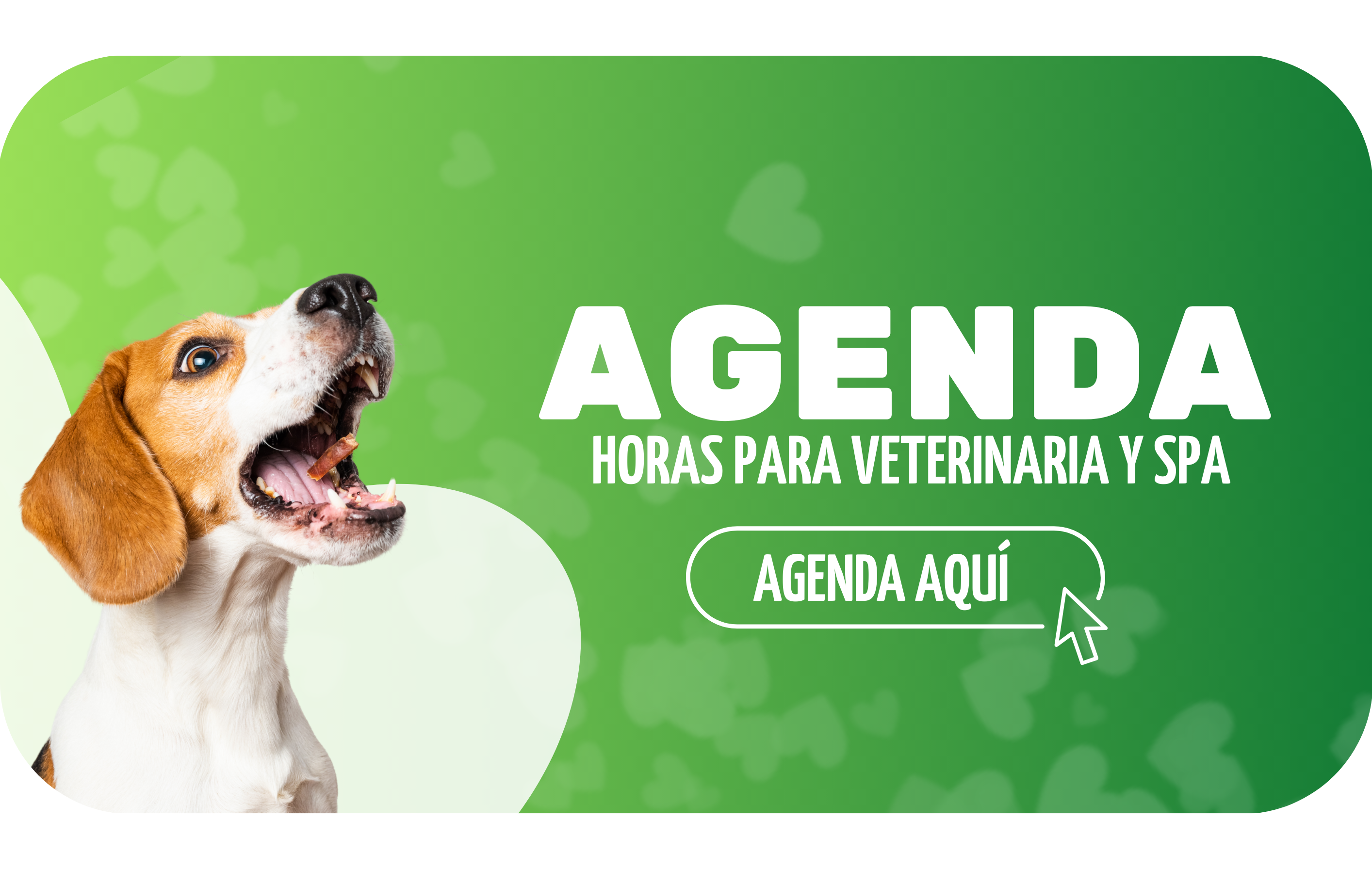 Tienda Pet Time