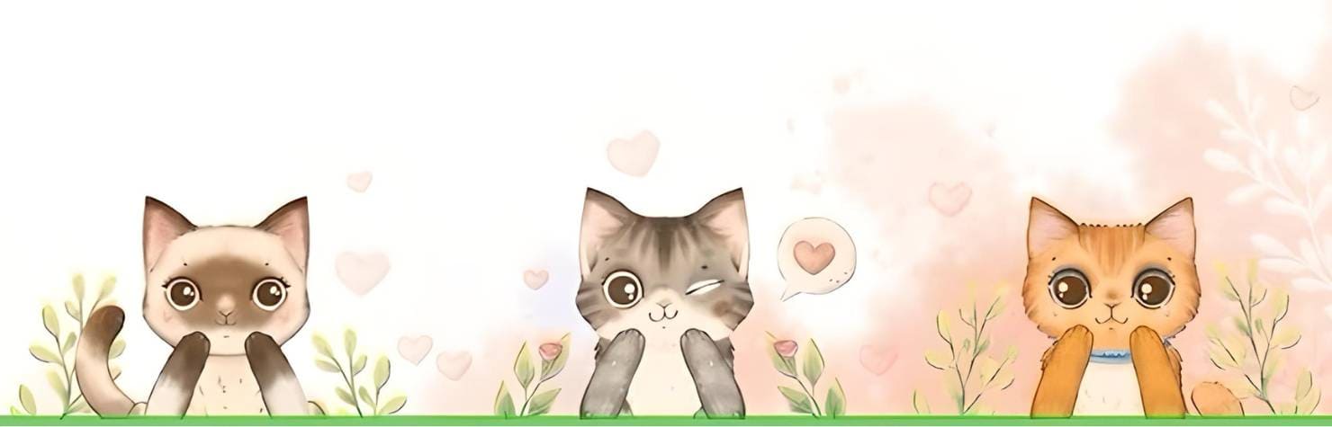 Todo para tus michis