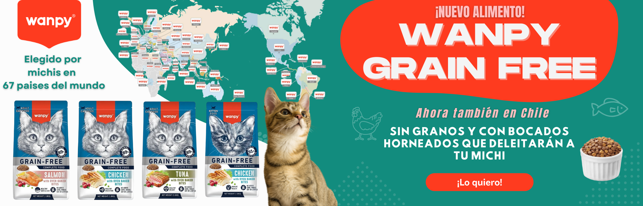 Todo para tus michis